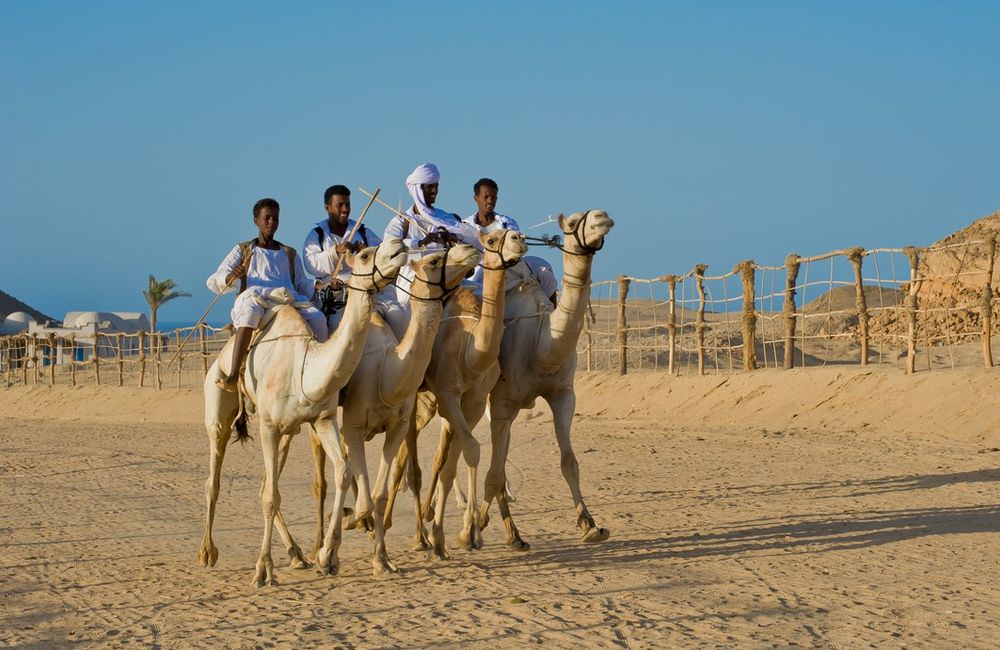 Port Ghalib: Gallery